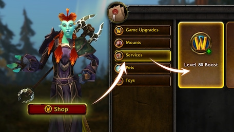 Level 85 Character Boost (Progression) - World of Warcraft Classic ...