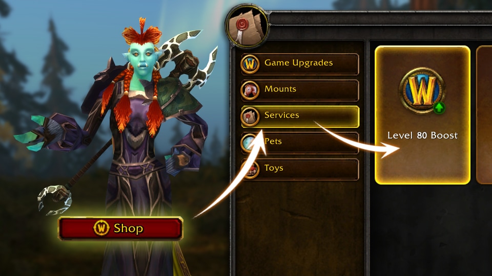 Level 80 Character Boost (Progression) - World of Warcraft Classic ...